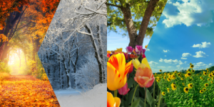 I giorni della settimana, le parti del giorno, i mesi e le stagioni